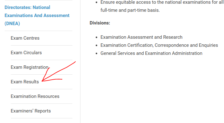 Grade 11 Results 2024 NSSCO - magaribeipoa